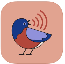 Robin v2: Discover Birds Through Sound